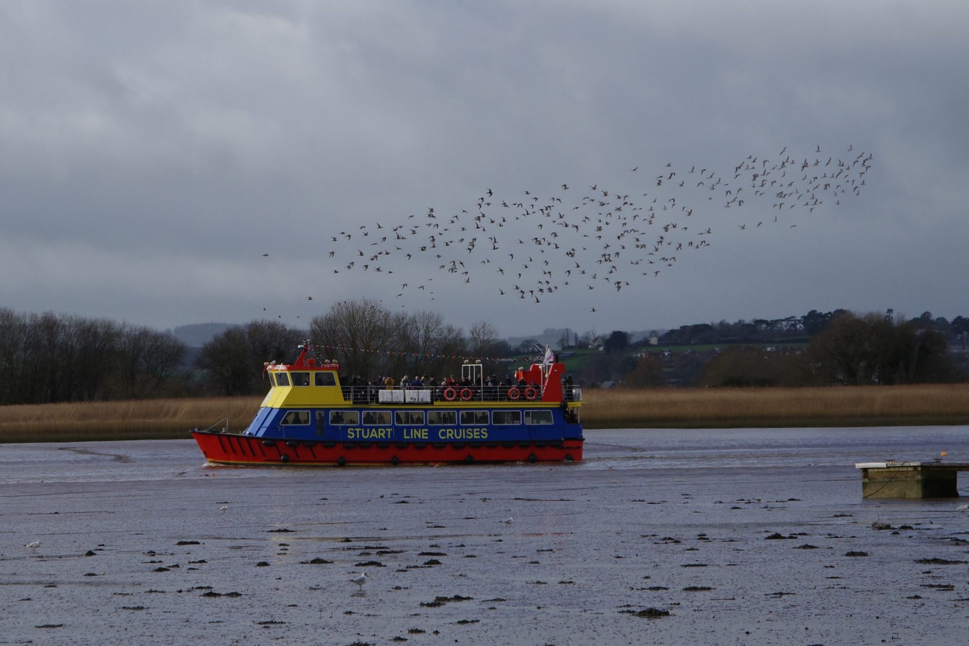 Guided Bird Watching - Wednesday 16th February - Stuart Line Cruises