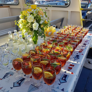 Stuart Line Cruises : Devon Tourist Attraction : Boat Trips & Charter