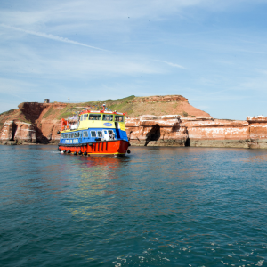 Stuart Line Cruises : Devon Tourist Attraction : Boat Trips & Charter