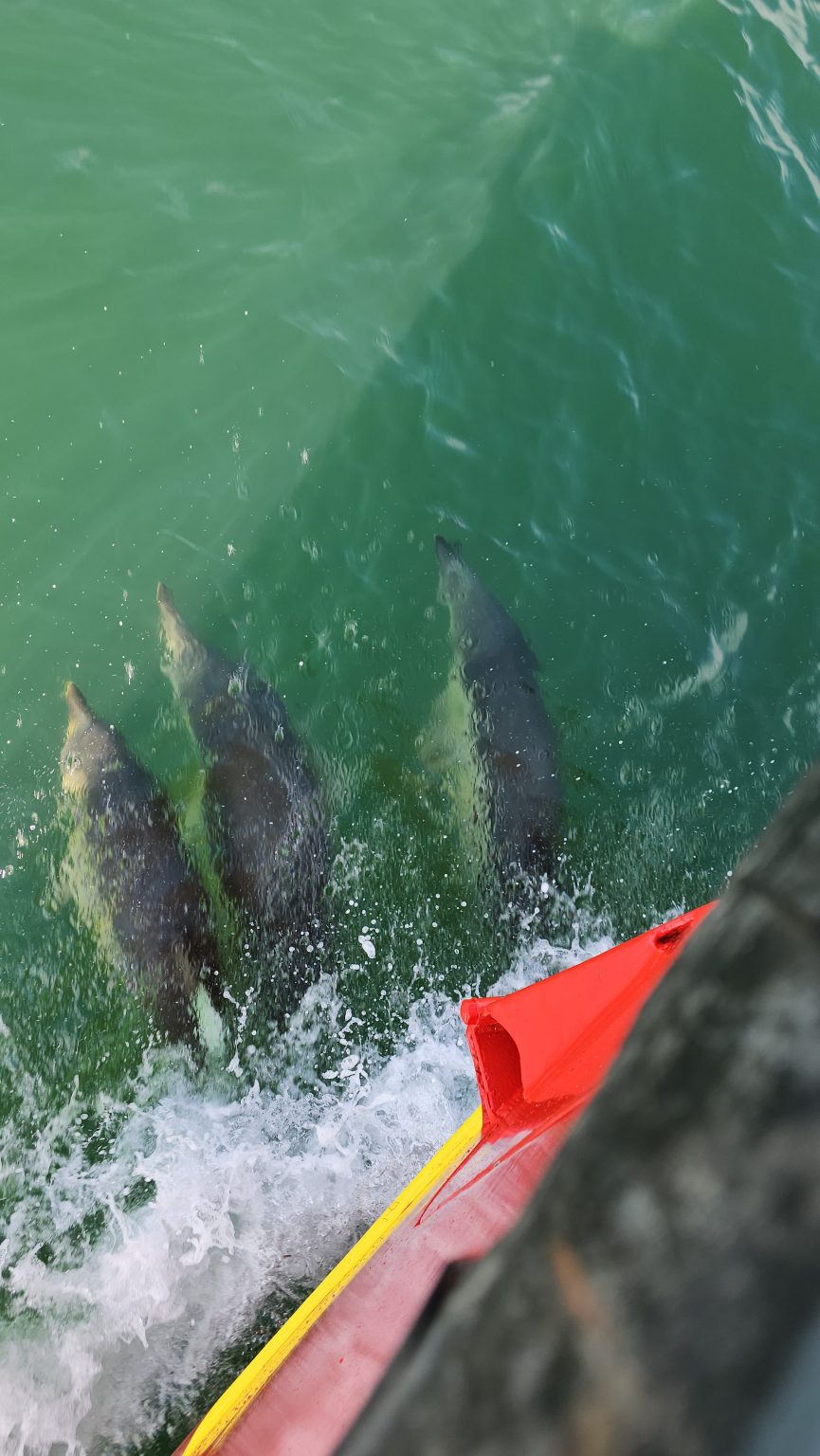 Coastal Cruising - Stuart Line Cruises