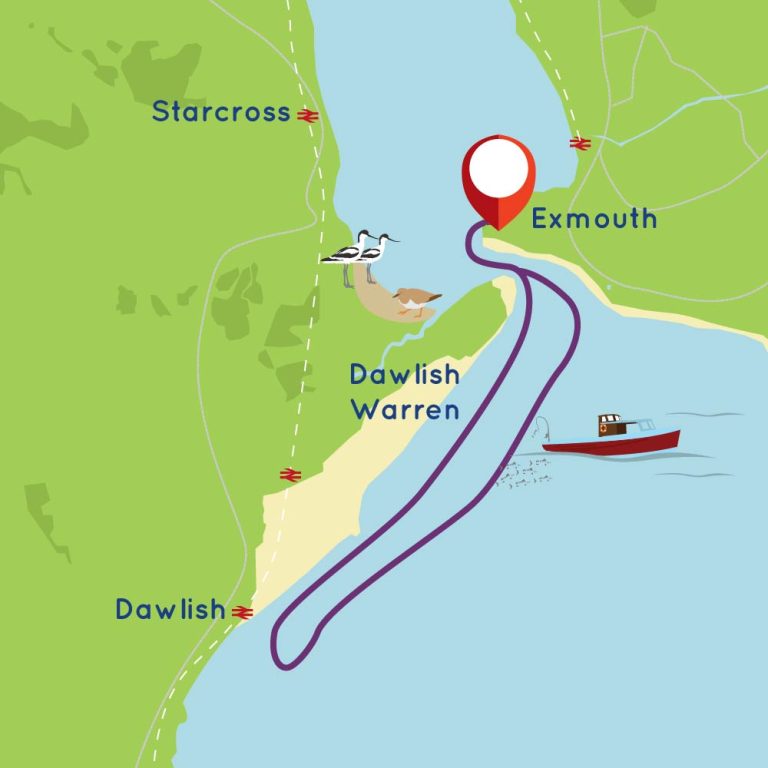 Unwind & Explore: South Devon Circular Cruise with Stuart Line