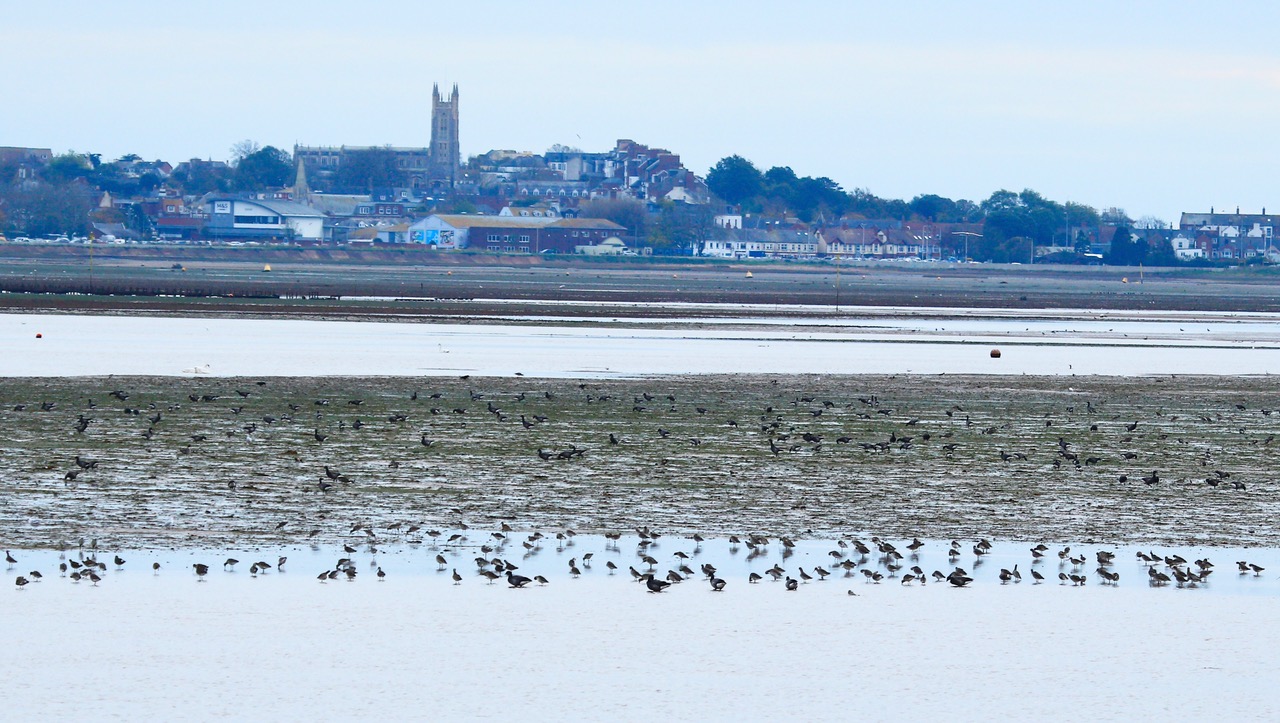 A Winter Wonderland on the Water: Discover the Magic of Devon's ...