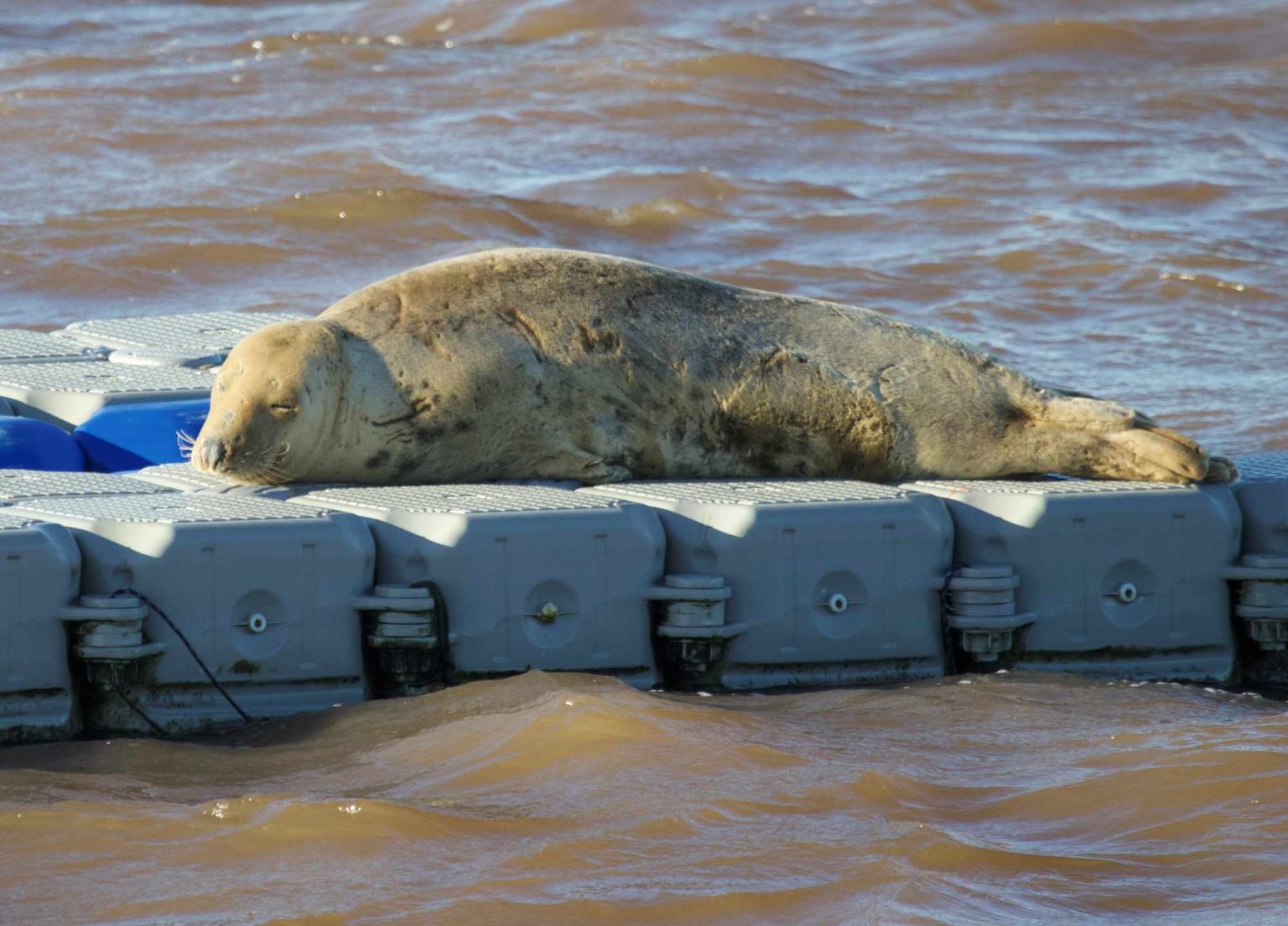 Guided Bird Watching Cruise - 20th November 2025 - Stuart Line Cruises